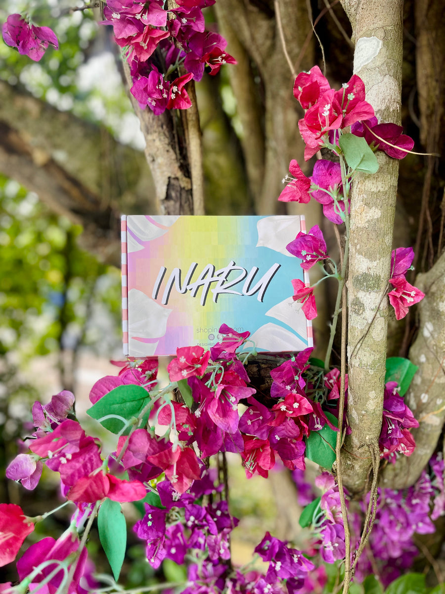 INARU MYSTERY MINI BOX